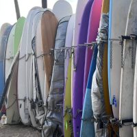 Sunday Review January 26, 2026 – Aimee Tate